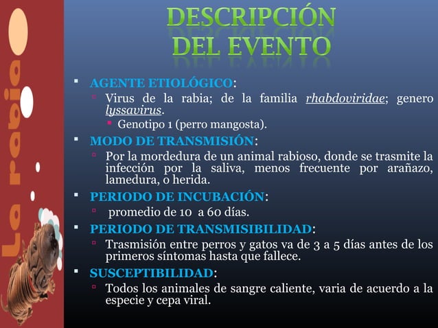 Protocolo de vigilancia para rabia | PPT