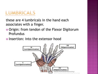 protocol of hand on MSU.pptx