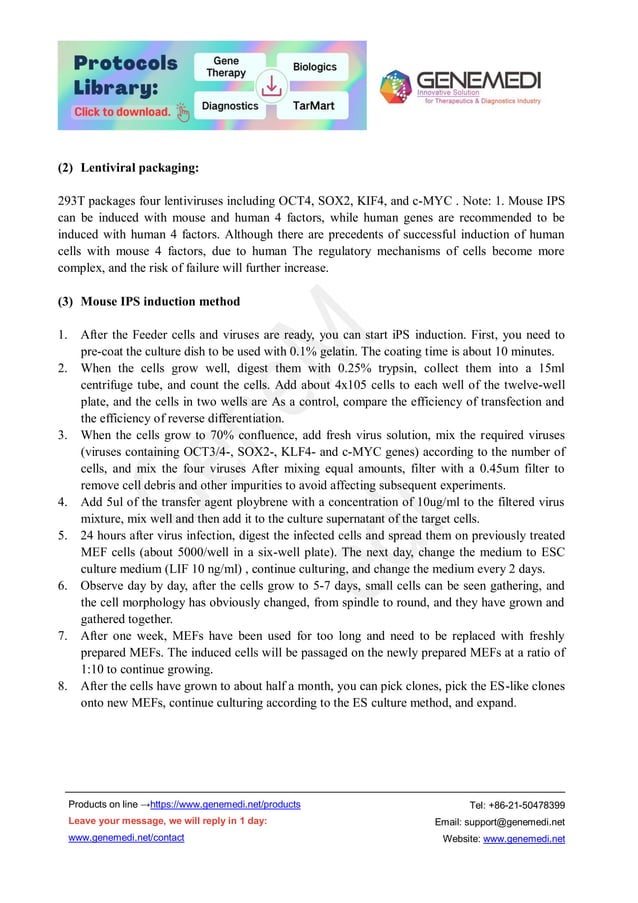 Intrusion Prevention System Protocol Specification Ppt