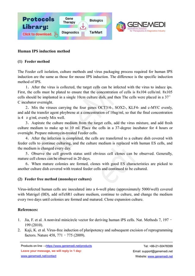 Intrusion Prevention System Protocol Specification Ppt