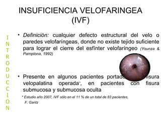 PROTOCOLO insuficiencia_velofaringea_fisurados.pdf