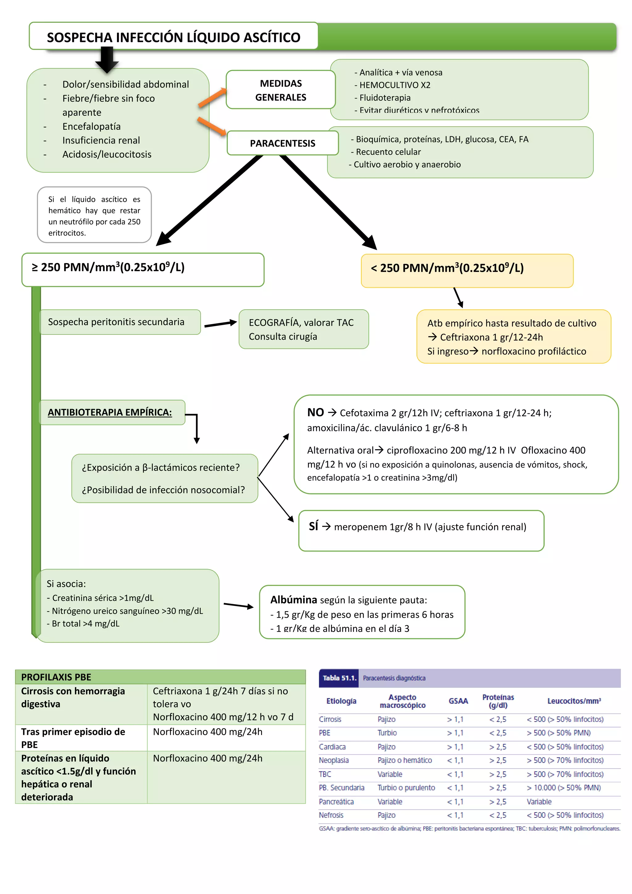 Protocolo peritonitis bacteriana espontánea pu | PDF