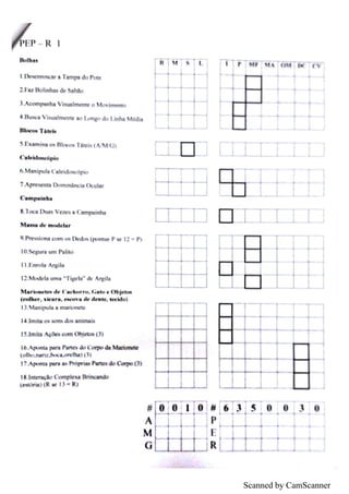 Protocolo resposta pep r | PDF