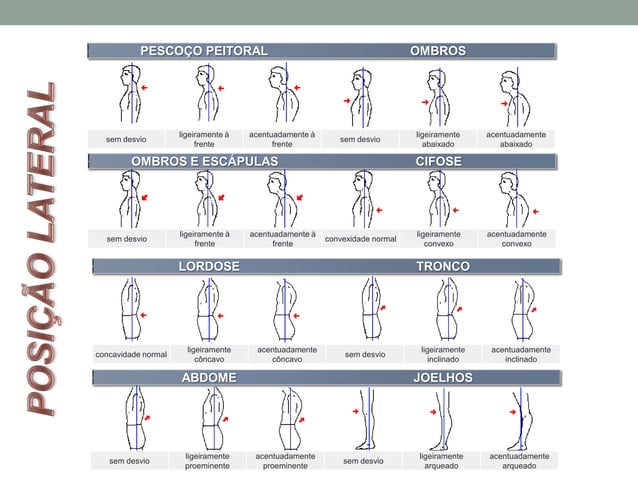 Protocolos avaliacao-postural | PPT