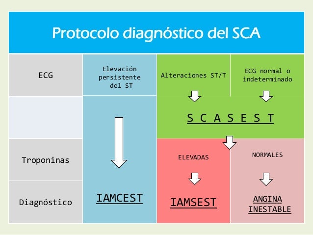 Protocolo sca departamento.