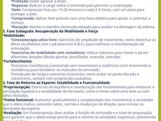 aula deProtocolos Fisioterapêuticos.pptx