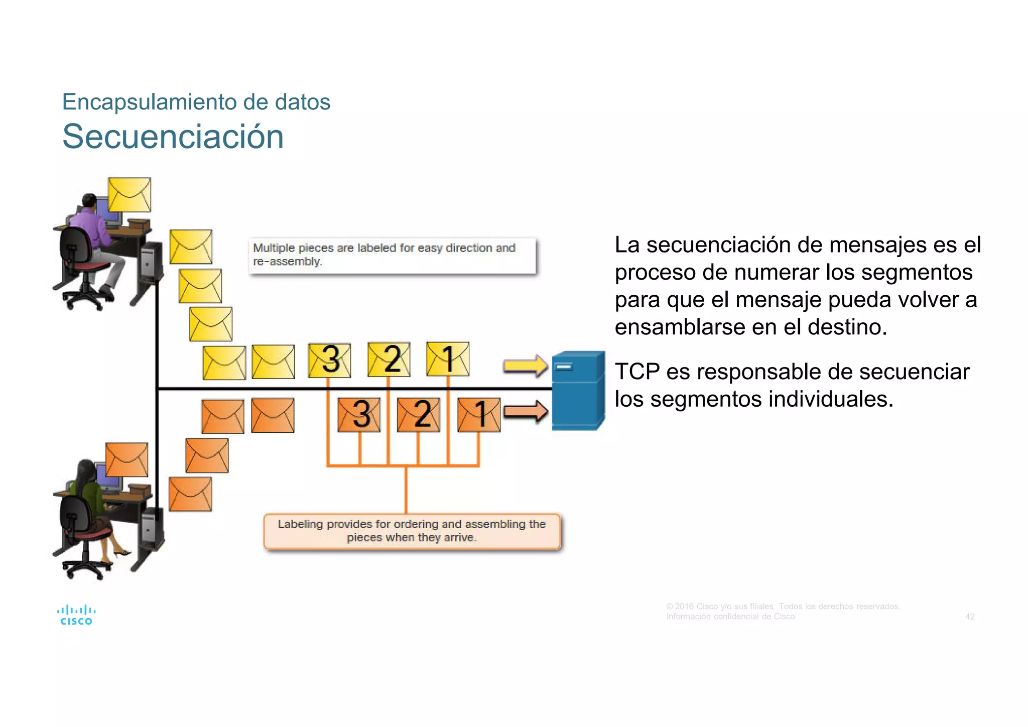 Protocolos y Acceso a la Red | PPT