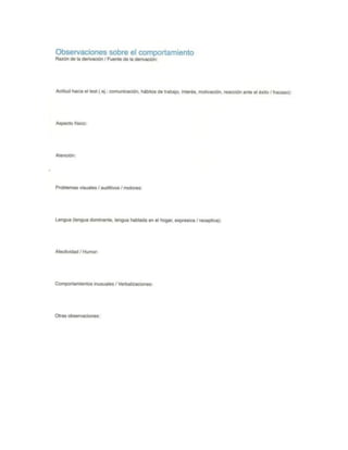 Protocolo wisc iii | PDF