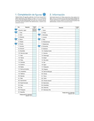 Protocolo wisc iii | PDF