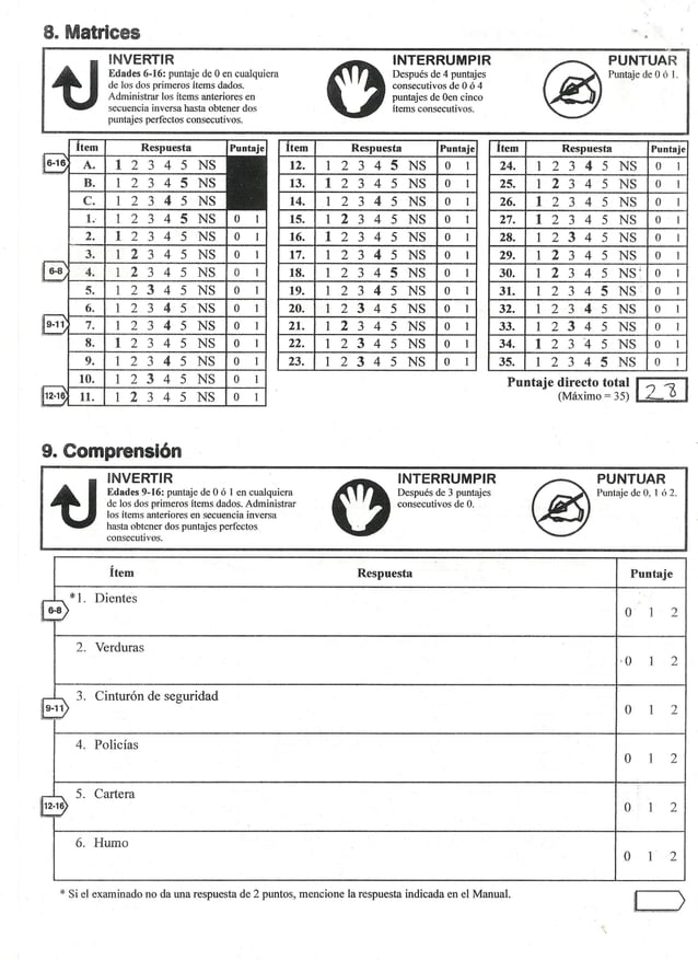 Protocolo wisc iv | PDF