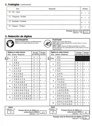 Protocolo wisc iv | PDF
