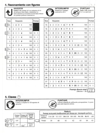 Protocolo wisc iv | PDF