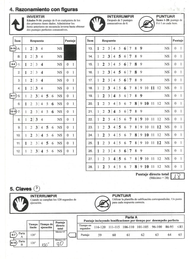 Protocolo wisc iv | PDF