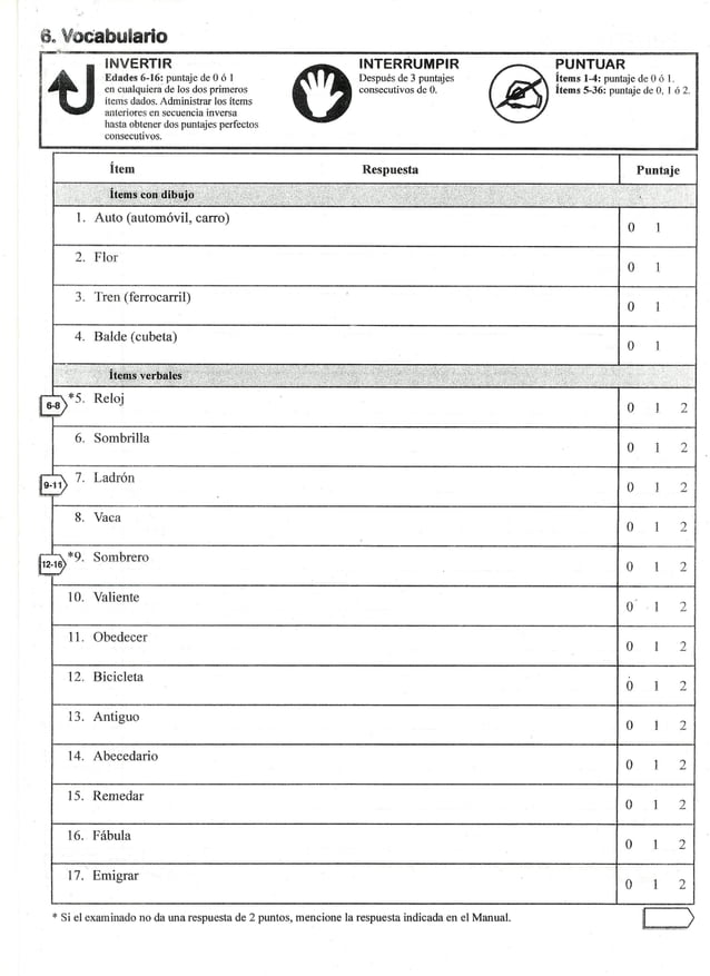 Protocolo wisc iv | PDF