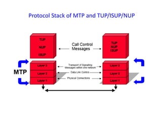 Protocol p pt | PPT