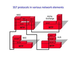 Protocol p pt | PPT | Free Download