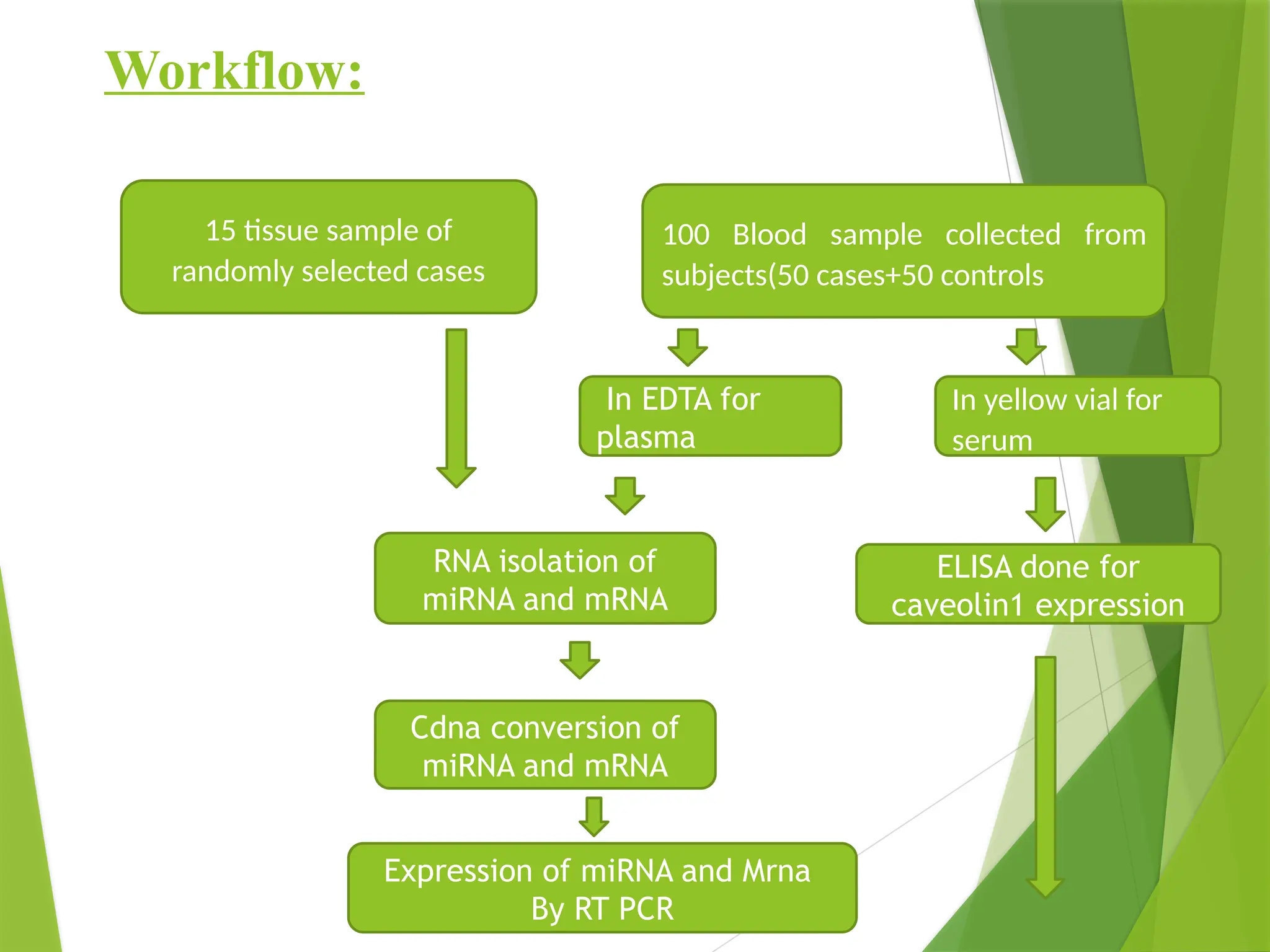 PROTOCOL PRESENTATION of thesis in cancer.pptx