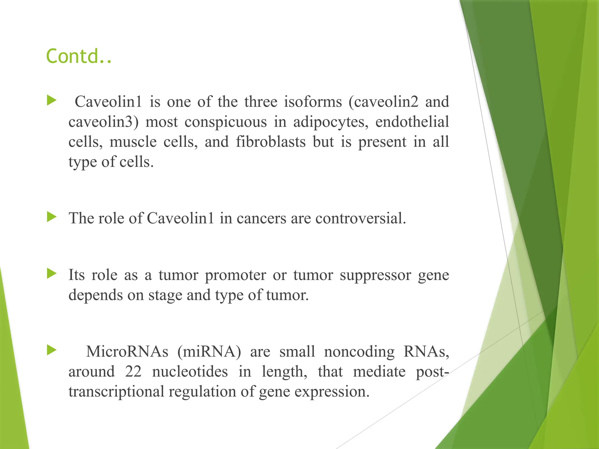 PROTOCOL PRESENTATION of thesis in cancer.pptx