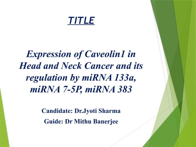 PROTOCOL PRESENTATION of thesis in cancer.pptx