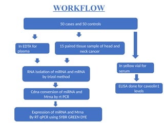 PROTOCOL PRESENTATION for thesis - Copy.pptx