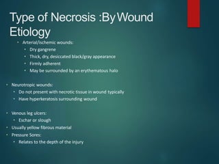 Protocols of wound debridement | PPTX