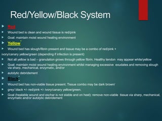 Protocols of wound debridement | PPTX