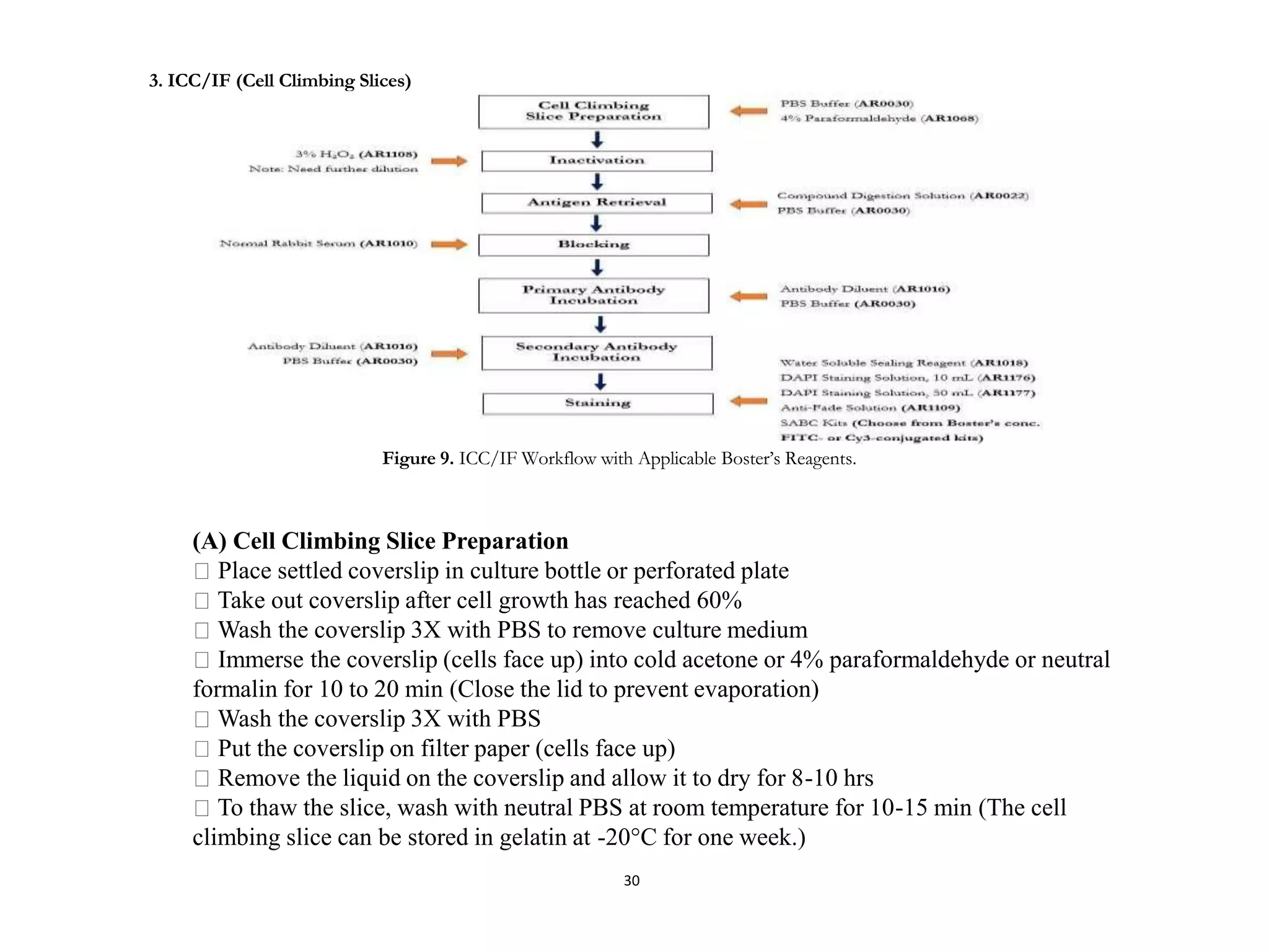 Immunohistochemistry Ihc Protocol Ppt