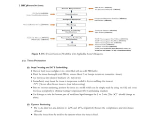 Immunohistochemistry (IHC) Protocol | PPTX