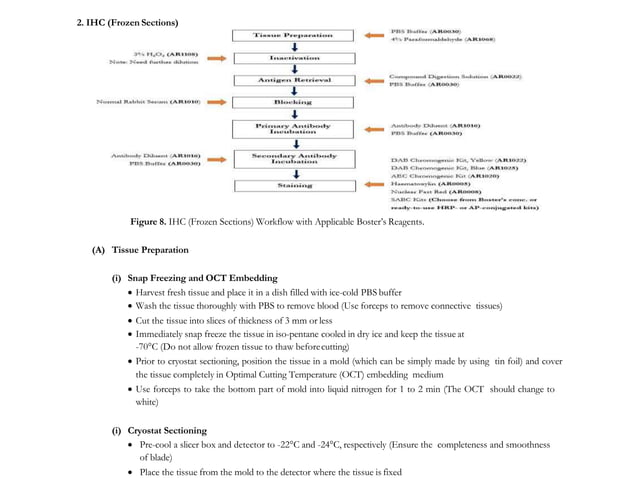 Immunohistochemistry (IHC) Protocol | PPTX