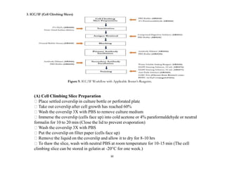 Immunohistochemistry (IHC) Protocol | PPTX