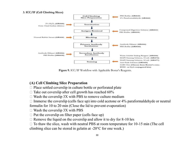 Immunohistochemistry (IHC) Protocol | PPTX