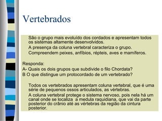 Protocordados vertebrados16082011 | PPT