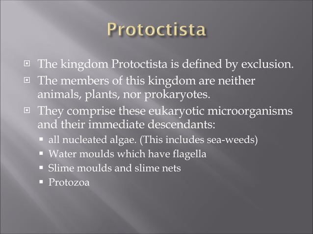Protoctista Ppt | PPT