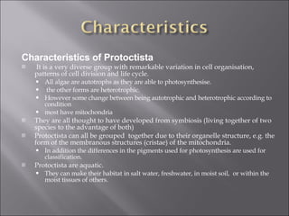 Protoctista Ppt | PPT
