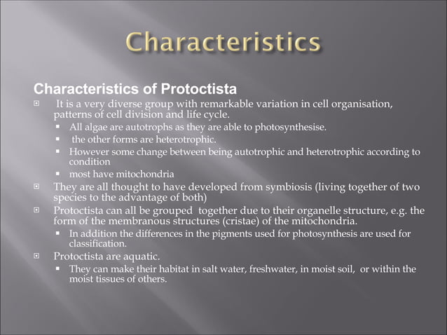Protoctista Ppt | PPT