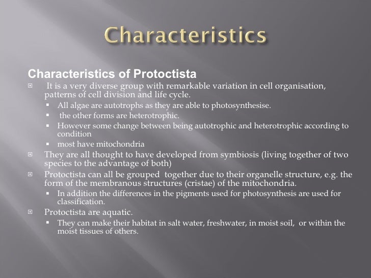 Protoctista Ppt