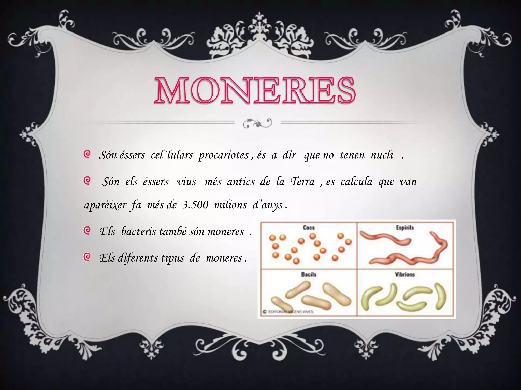 Protoctists i moneres | PPTX