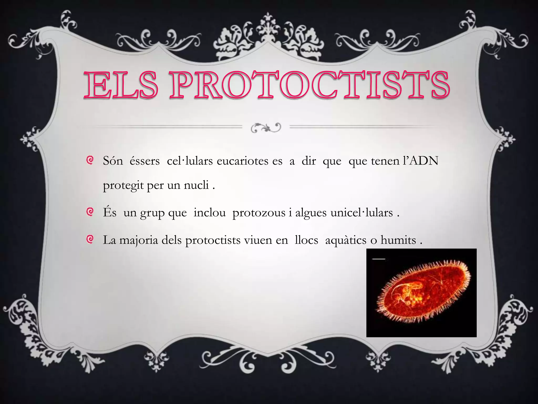 Protoctists i moneres | PPTX