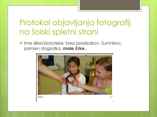 Protokol objavljanja fotografij | PPT