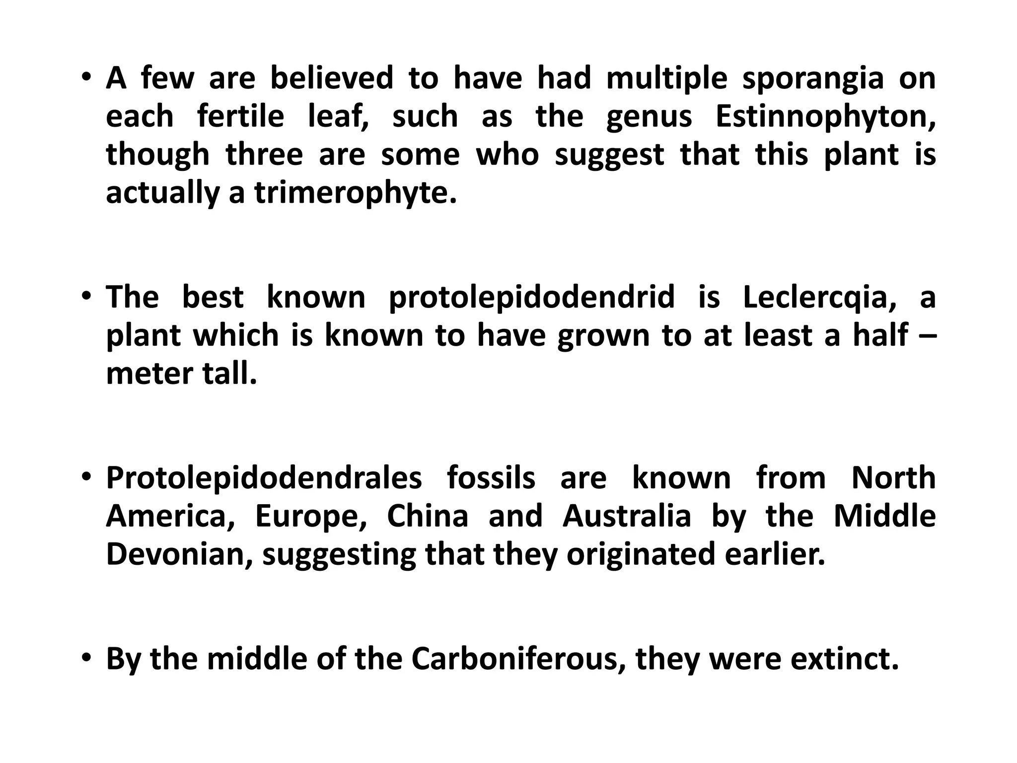 Protolepidodendron | PPTX