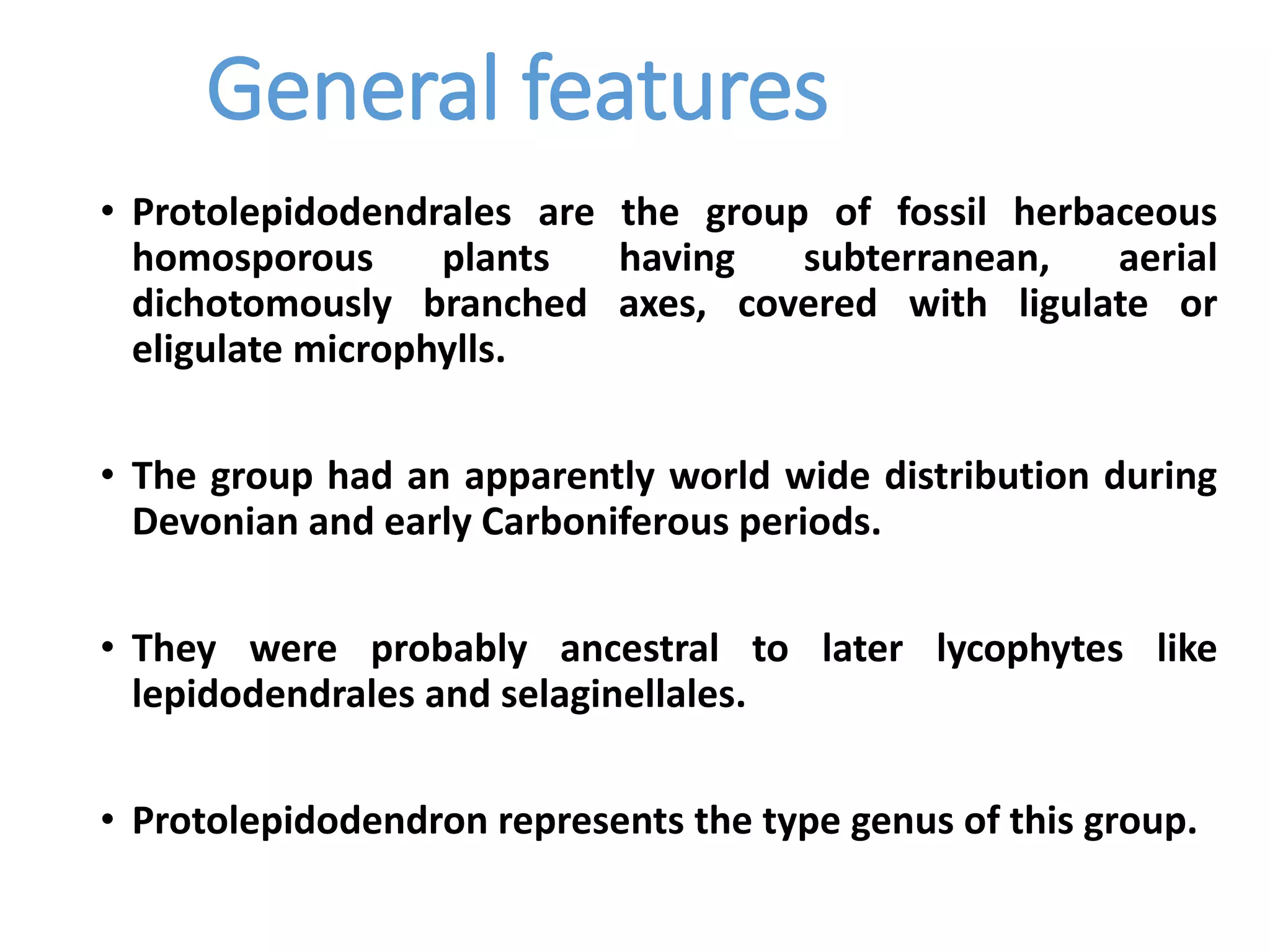 Protolepidodendron | PPTX