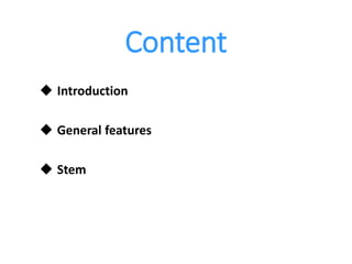 Protolepidodendron | PPTX