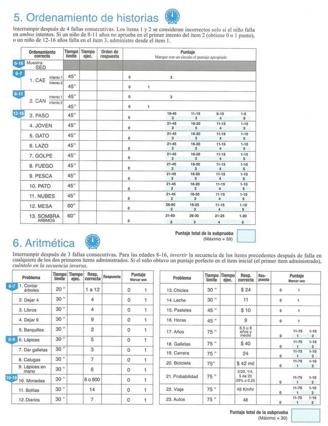 Protoloco wisc iii | PDF