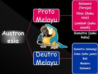 proto melayu dan deutro melayu1.....pptx