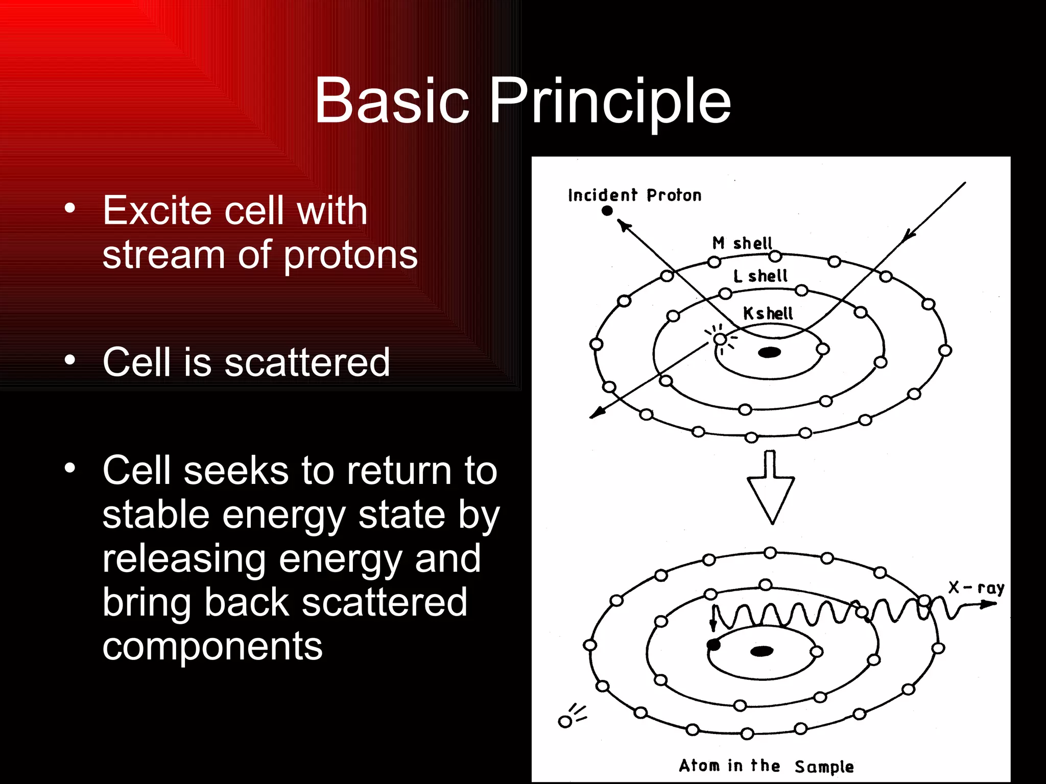 Proton Induced X Ray Emission P P | PPT