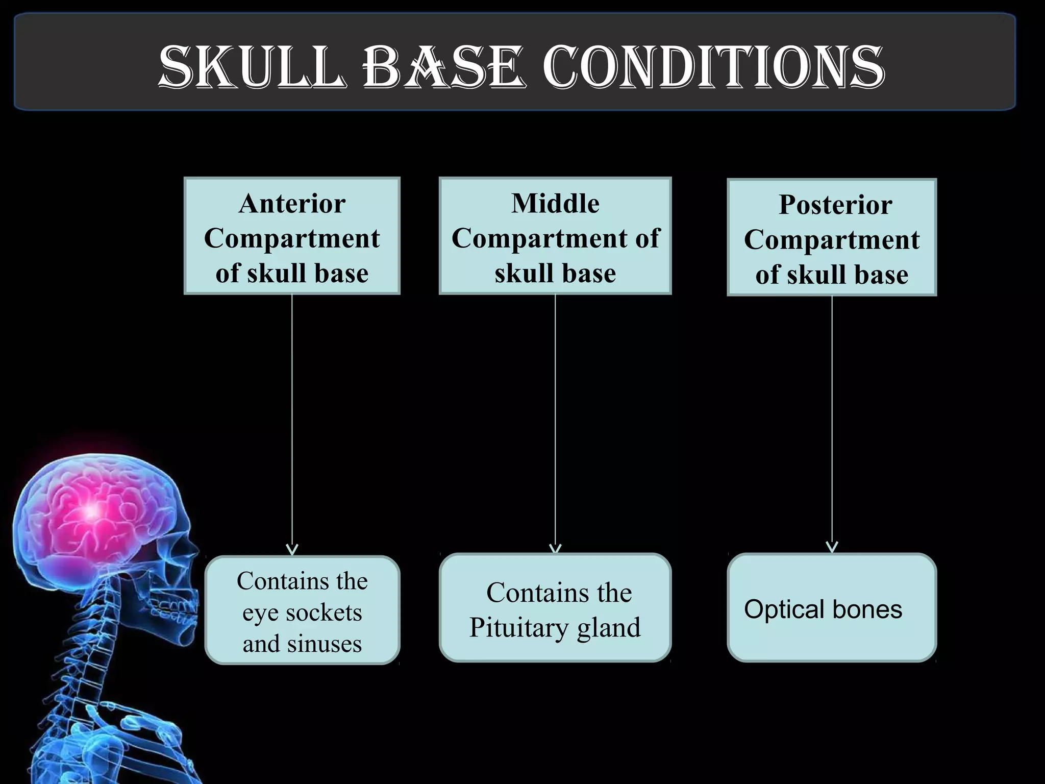 Proton beam therapy for tumors of skull base | PPT