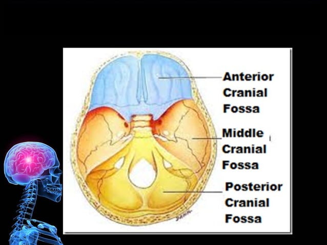 Proton beam therapy for tumors of skull base | PPT