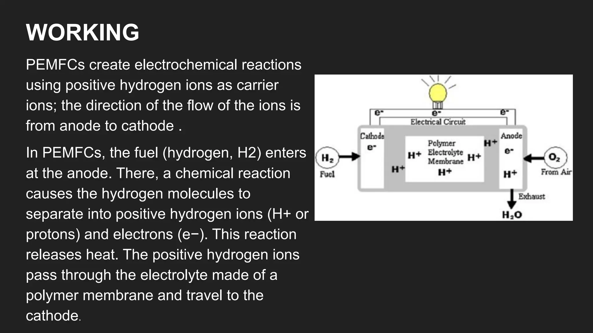 Proton exchange membrane fuel cells | PDF