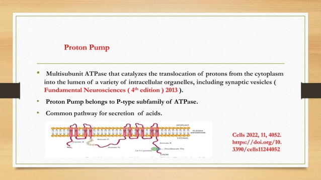 Proton pump and inhibitors and its mechanism | PPTX