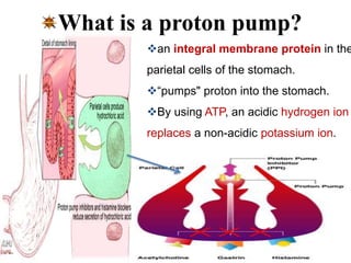 Proton pump inhibitor | PPTX